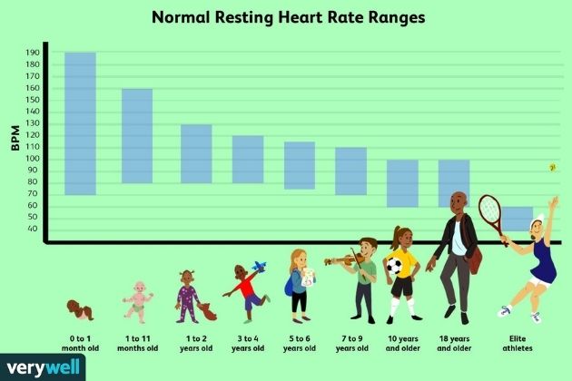 Is Resting Heart Rate Really An Accurate Predictor Of Age 2021 Report